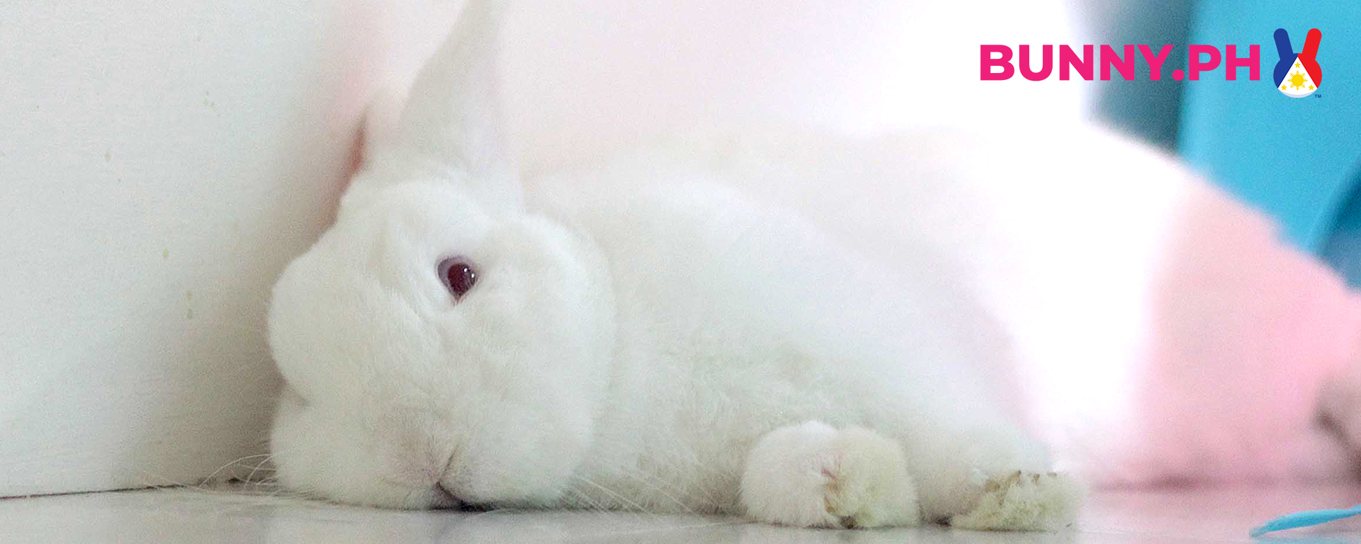 Bunny Language – BUNNY PH